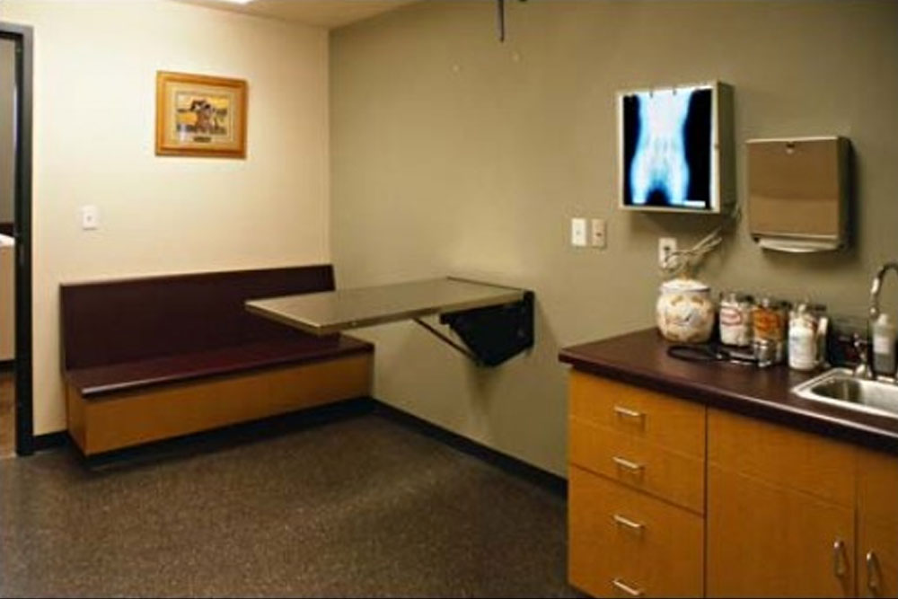 Tour - Vet in Millcreek | Brickyard Animal Hospital