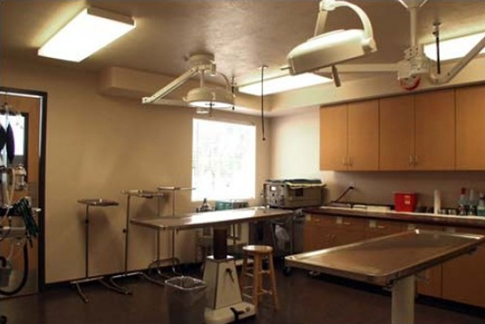 Tour - Vet in Millcreek | Brickyard Animal Hospital