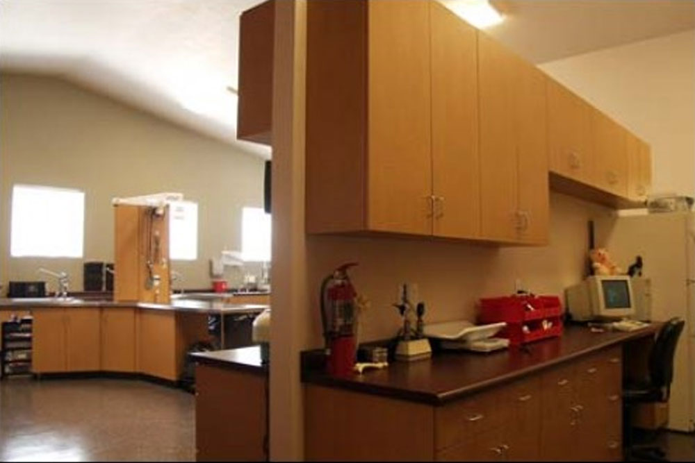 Tour - Vet in Millcreek | Brickyard Animal Hospital